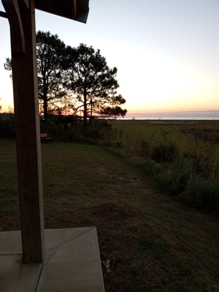 Lightning Point Restoration Project | Local Parks