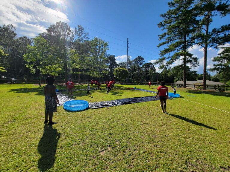 Martin Luther King Park | Local Parks
