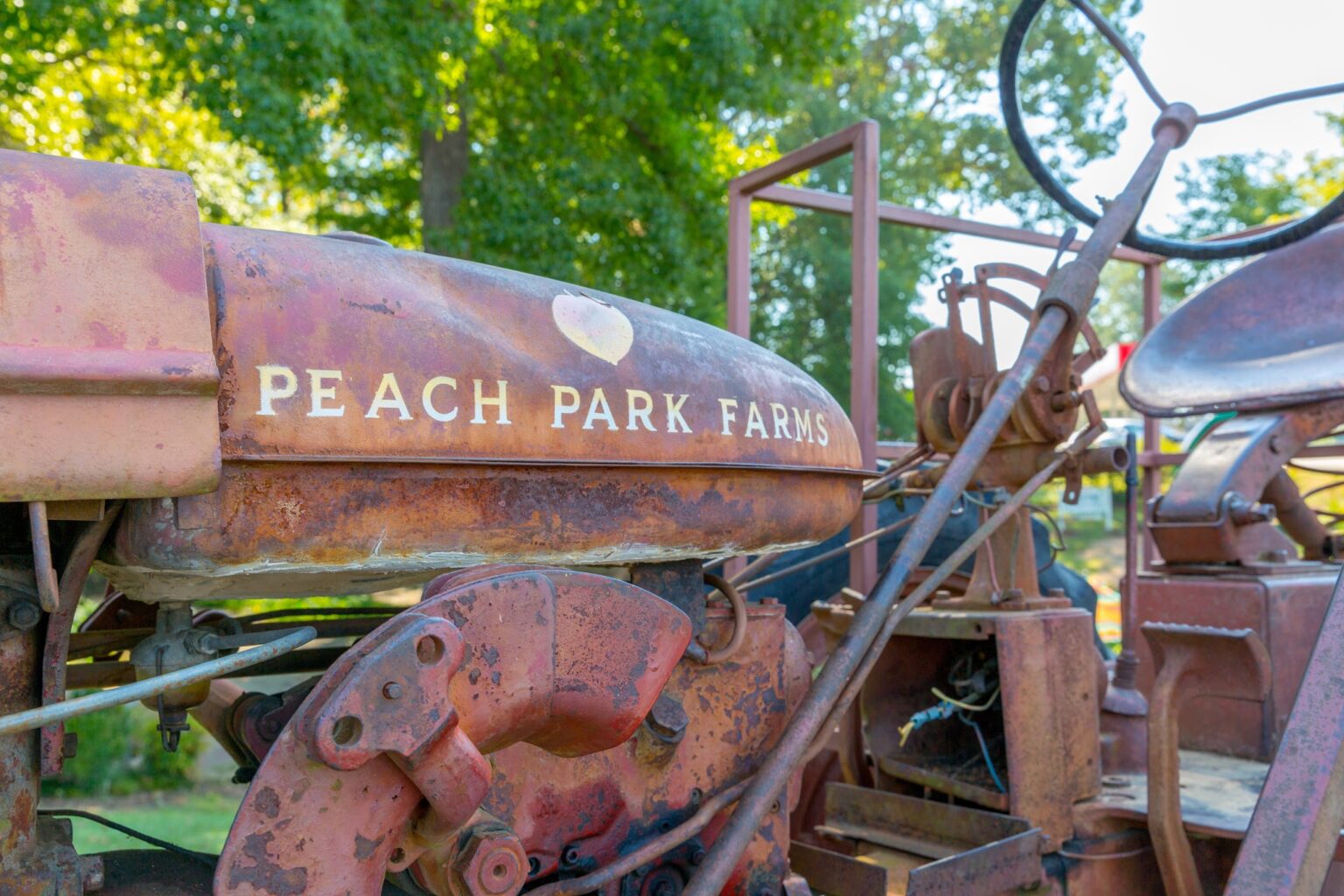 Peach Park | Local Parks