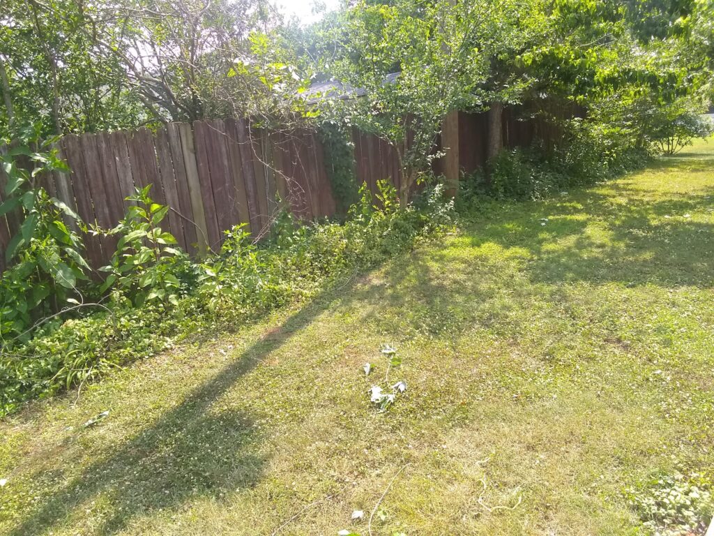 Robert Allen Tinnon Park | Local Parks