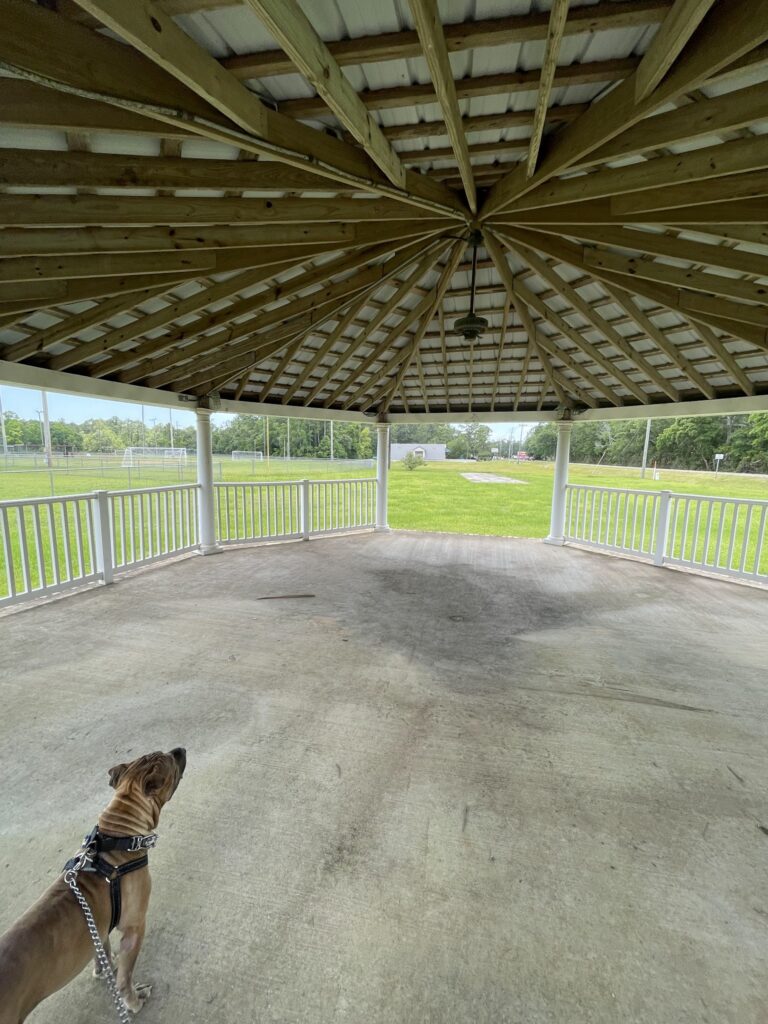 Zirlott Park | Local Parks