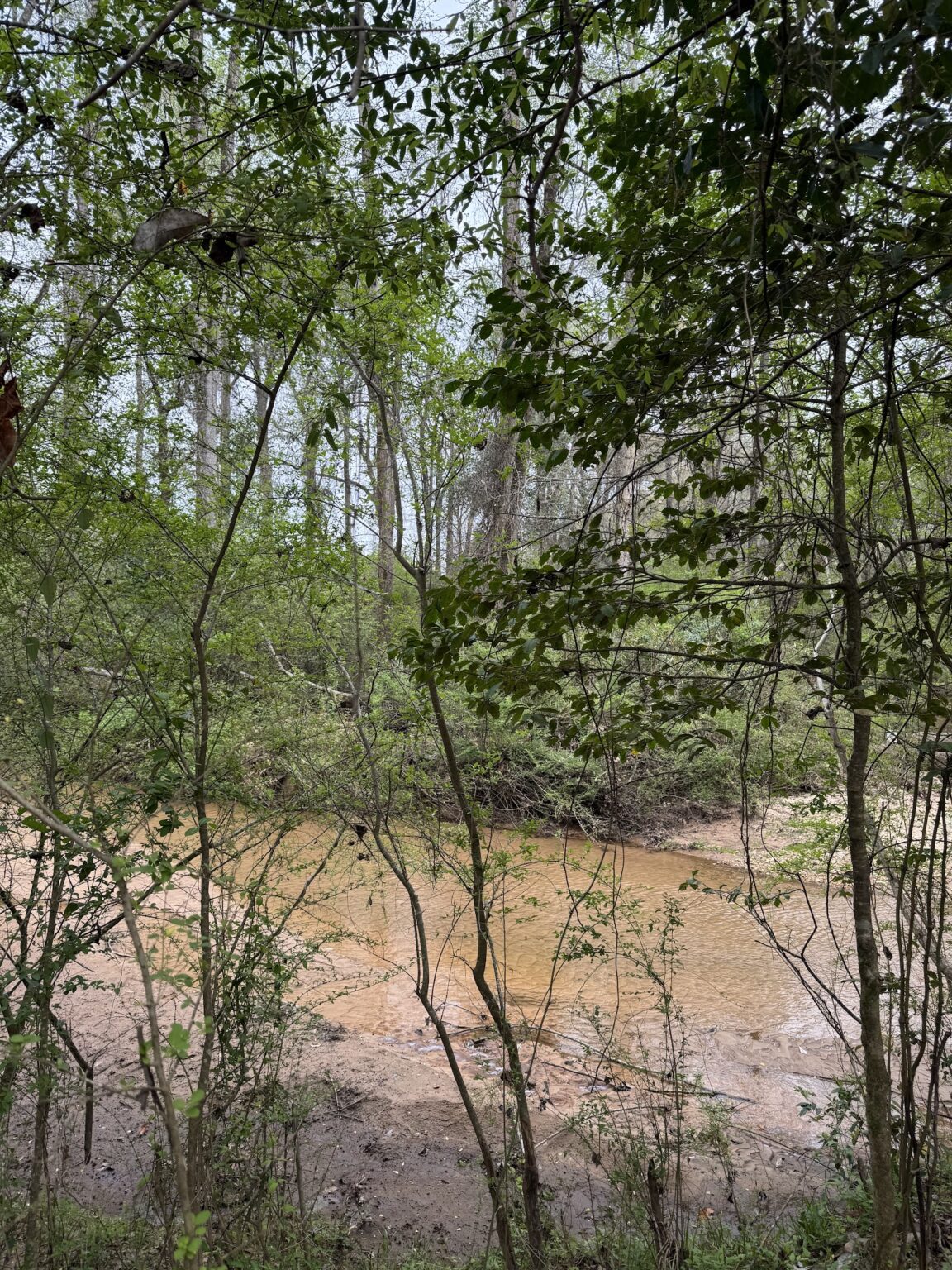 Alabama Nature Center | Local Parks