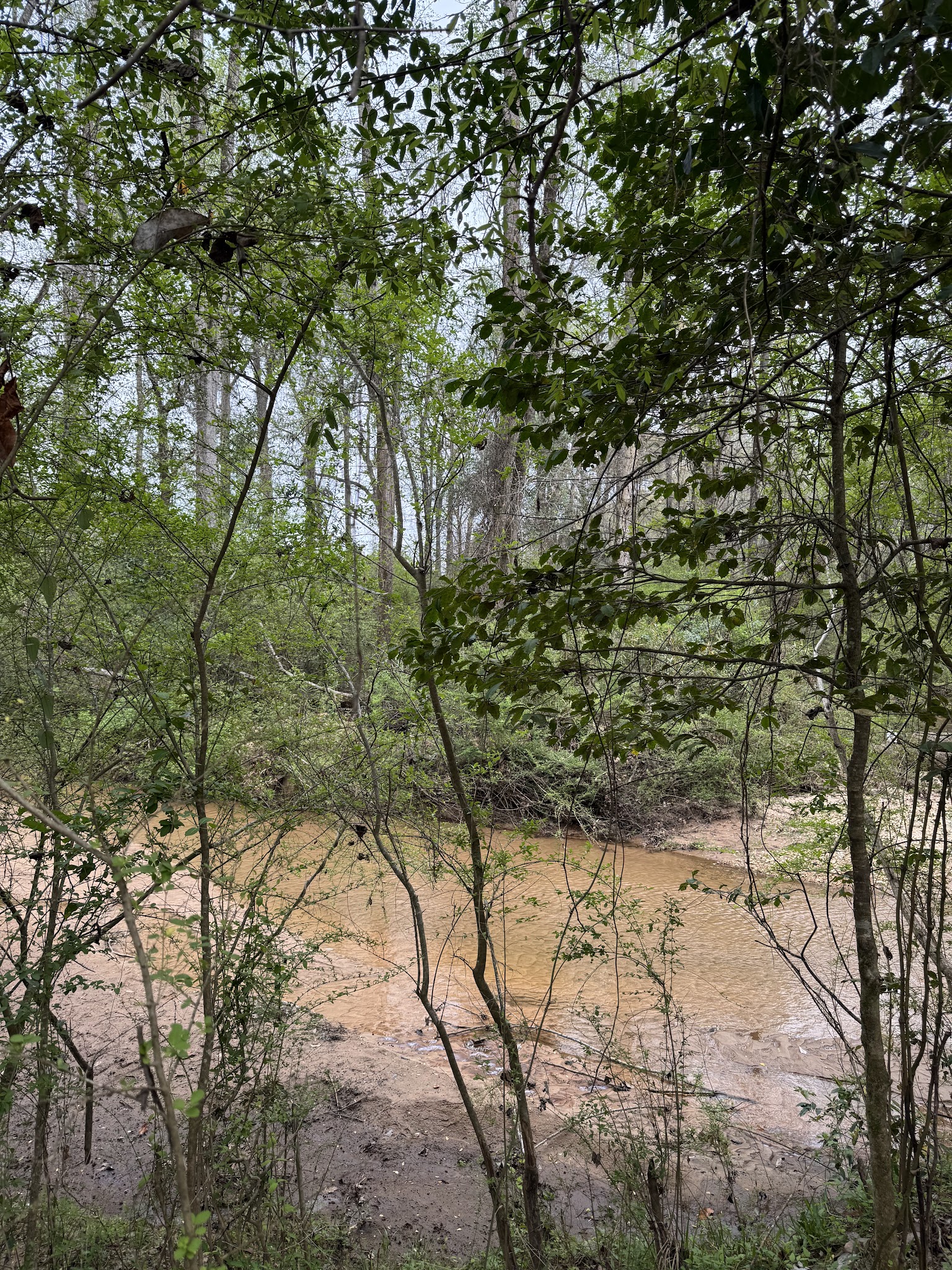 Alabama Nature Center | Local Parks