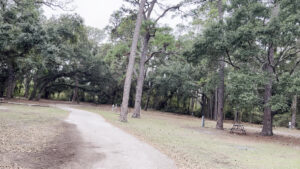 Dauphin Island Campground | Local Parks