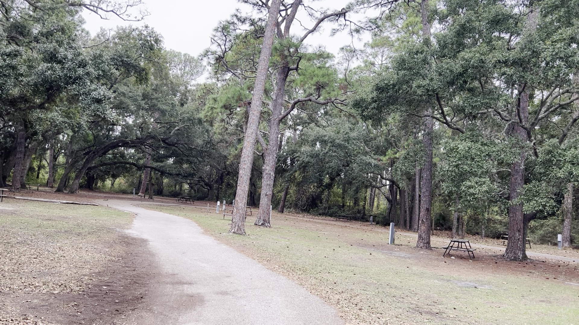 Dauphin Island Campground | Local Parks