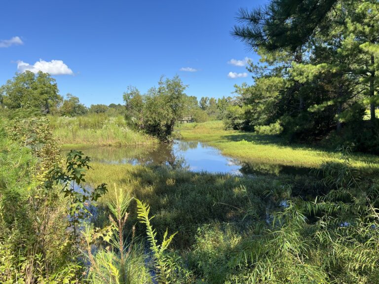 Harmon Park | Local Parks