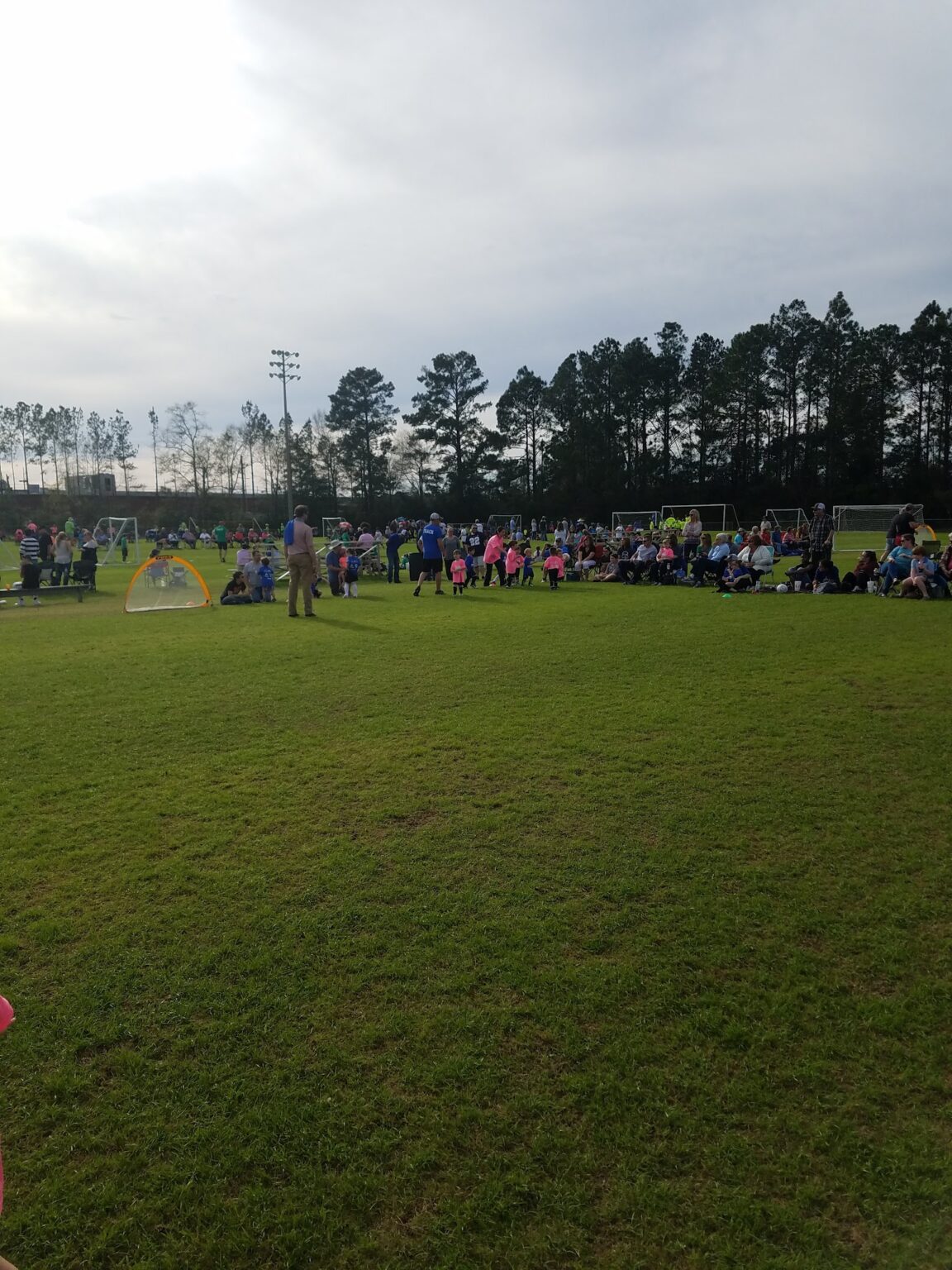 Westgate Park | Local Parks